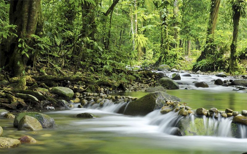 ENVIRONMENT - Dewhurst Furniture